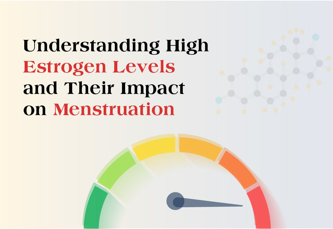Understanding high estrogen level and their impacts on menstrual ...